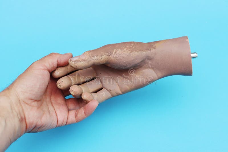 A Man& X27;s Hand Holds an Artificial Plastic Hand on a Blue Background ...