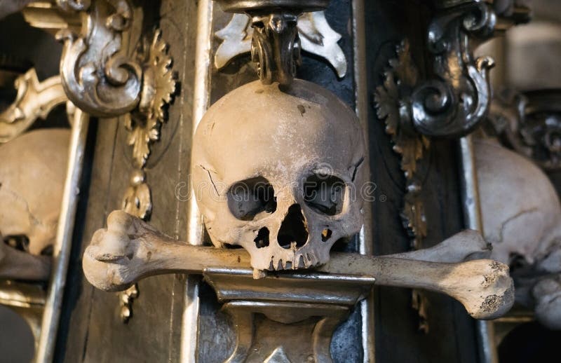 The Real Human Skull. Bones. Death Man Editorial Photo - Image of ...