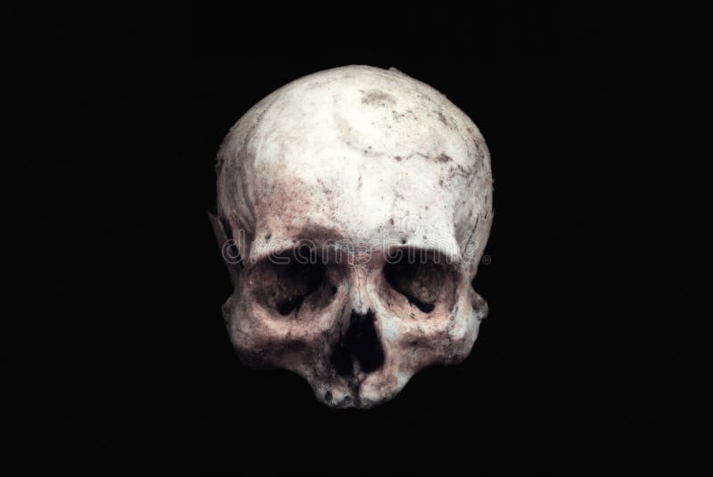 Real Human Skull on an Isolated Black Background Stock Image - Image of ...