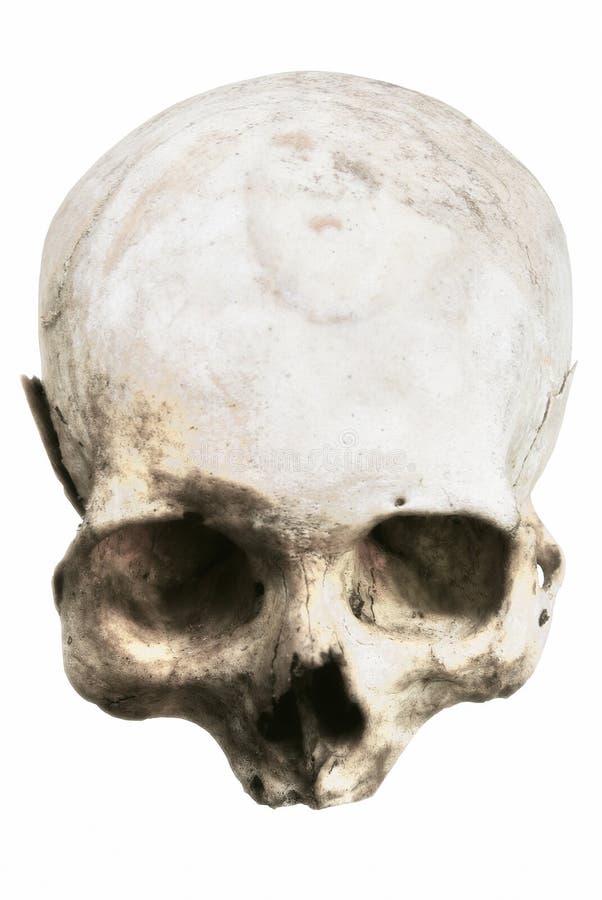 Real Human Skull on an Isolated Black Background Stock Image - Image of ...