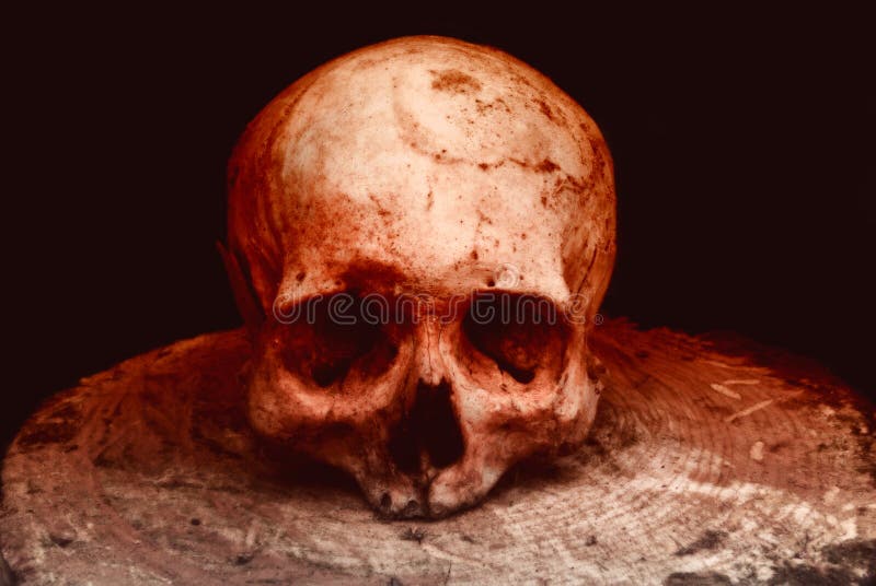Real Human Skull on an Isolated Black Background Stock Image - Image of ...