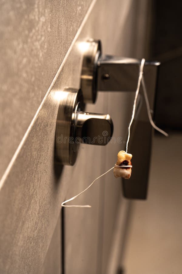 Real Human Teeth Hanging on the Door Handle. Pulled Out Tooth ...