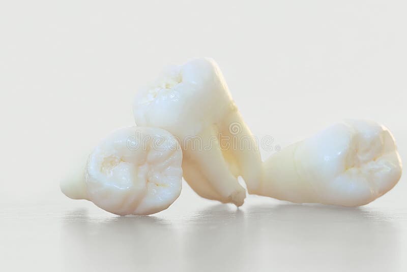 729 Sharp Teeth Human Stock Photos - Free & Royalty-Free Stock Photos ...