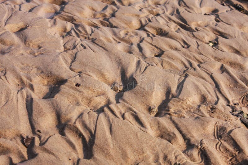 Real Image of Wet Sand on the Beach with Texture of Wave Stock Image ...