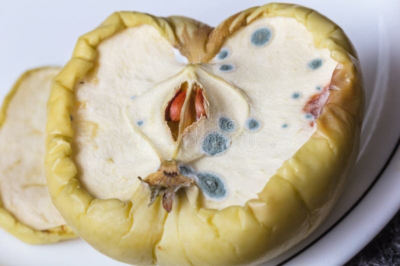 Real Mold Spots on Half Apple Stock Photo - Image of closeup, mold ...
