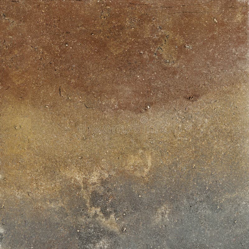 Tigrato Stock Photos - Free & Royalty-Free Stock Photos from Dreamstime