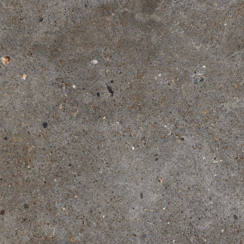 Tigrato Stock Photos - Free & Royalty-Free Stock Photos from Dreamstime