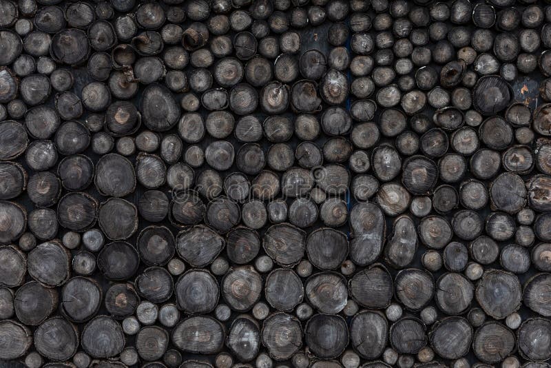 Real Natural Wood Texture. Circular Cuts for the Background. Stock ...