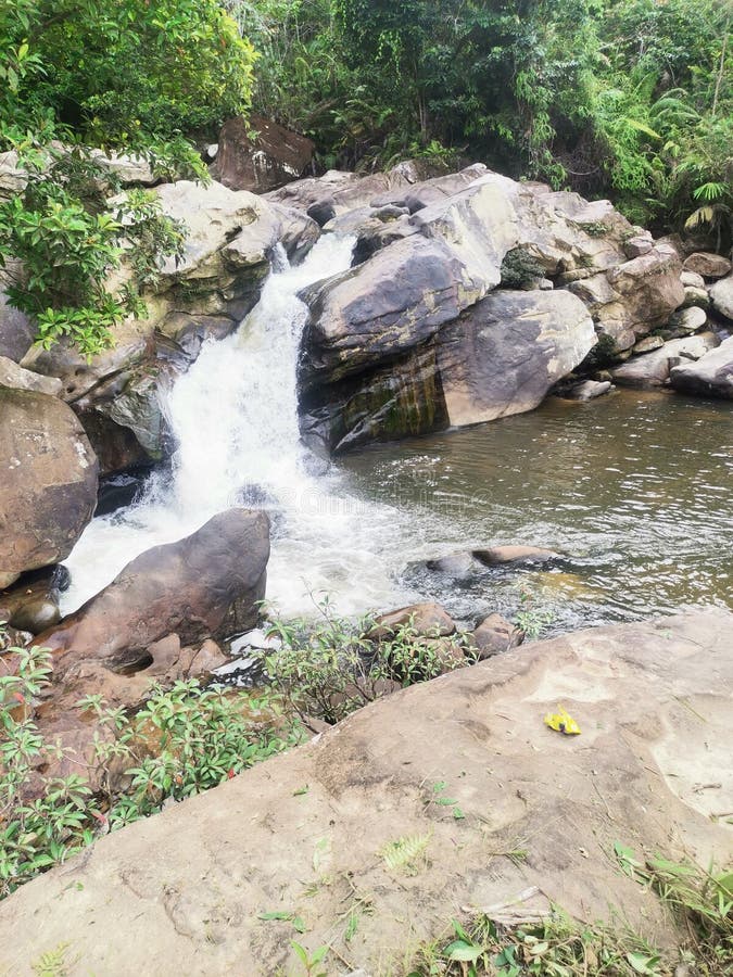 Real Naturall stock photo. Image of naturall, real, water - 269367352