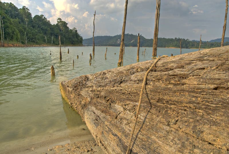 Real Nature stock image. Image of forest, alam, royal - 14203023