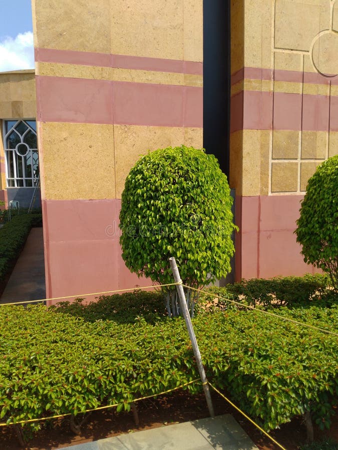 The Real Nature of Indian Village and Culture Stock Image - Image of ...