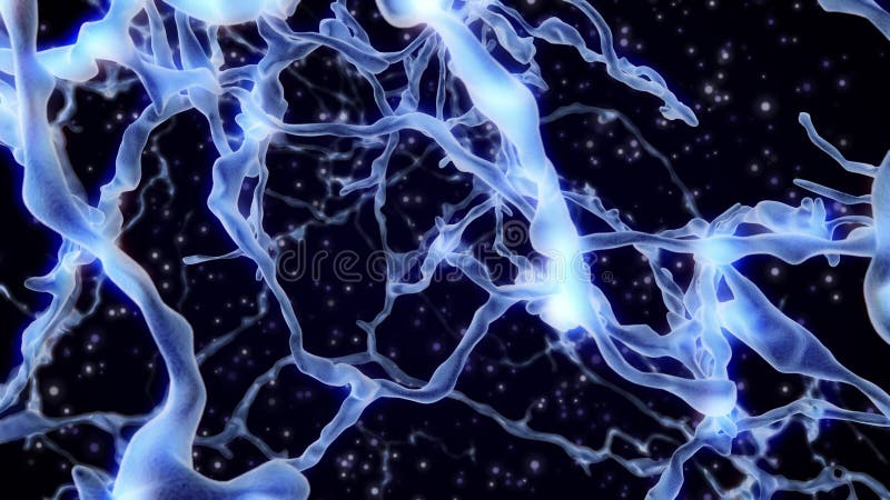 Real Neuron Network Synapse Inside the Human Brain. Neuronal and ...