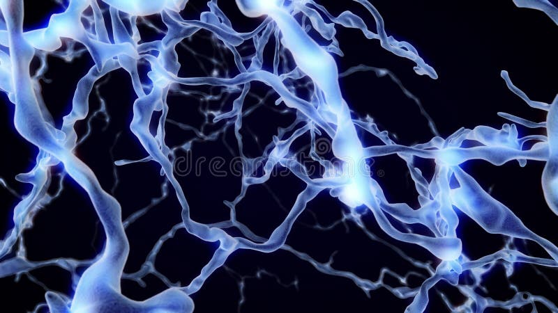 Neural Network Brain Synapse Connections Brain Stimulation Or