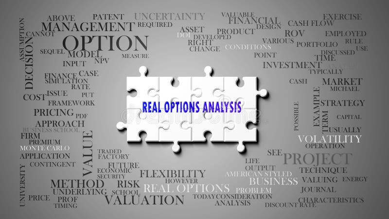 Real Options Analysis As a Complex Subject, Related To Important Topics Spreading Around As a ...