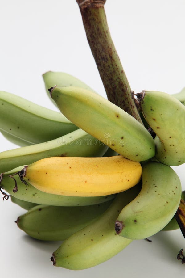 Banana stock photo. Image of food, nature, sweet, alter - 14211920