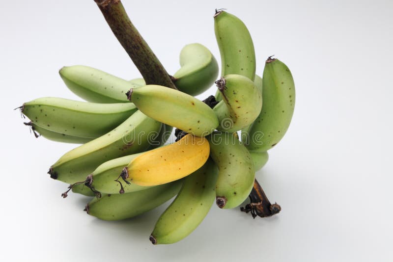 Real organic banana stock photo. Image of healthy, sweet - 53814054