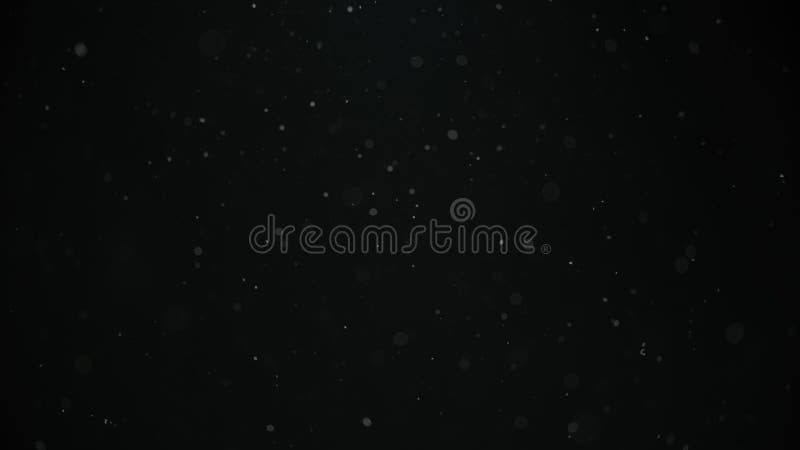 Real Particles on Black Background Stock Video - Video of overlay ...