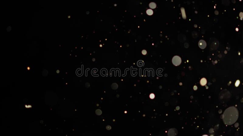 Real Particles Floating on Black Background Stock Footage - Video of ...