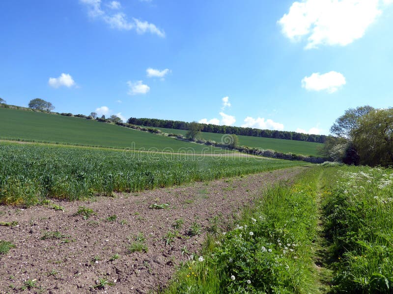 Path by Ploughed Field in the Countryside Stock Image - Image of ...