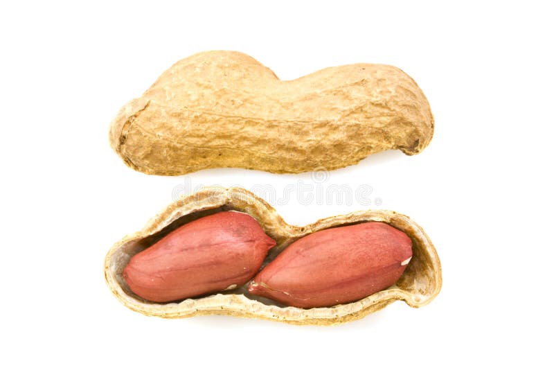 Peanut stock image. Image of closeup, isolated, nature - 49820201