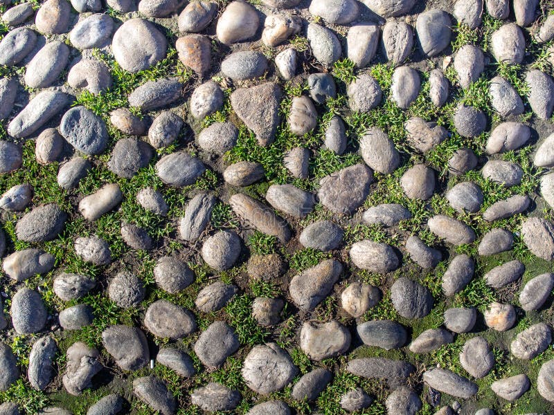 Real pebbles road stock image. Image of cobble, paved - 229242991
