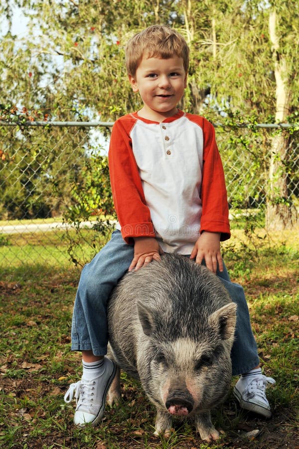 366 Riding Pig Stock Photos - Free & Royalty-Free Stock Photos from ...