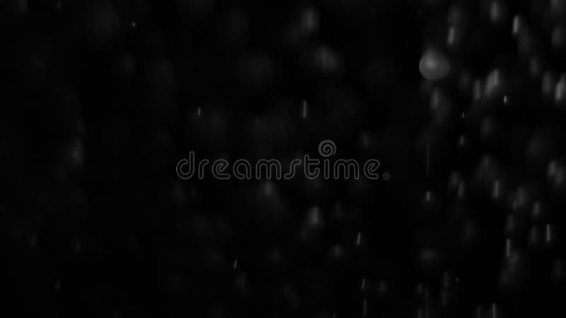 Real Rain Natural Drops Falling or Snow 4K Alpha Channel Footage. Heavy ...