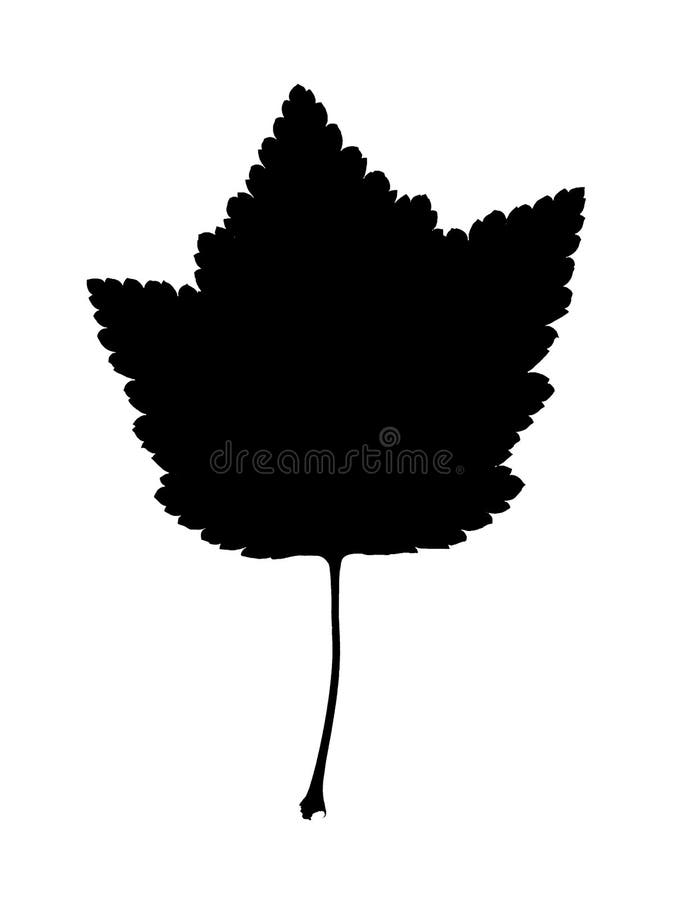 Bush Plane Silhouette Stock Photos - Free & Royalty-Free Stock Photos ...