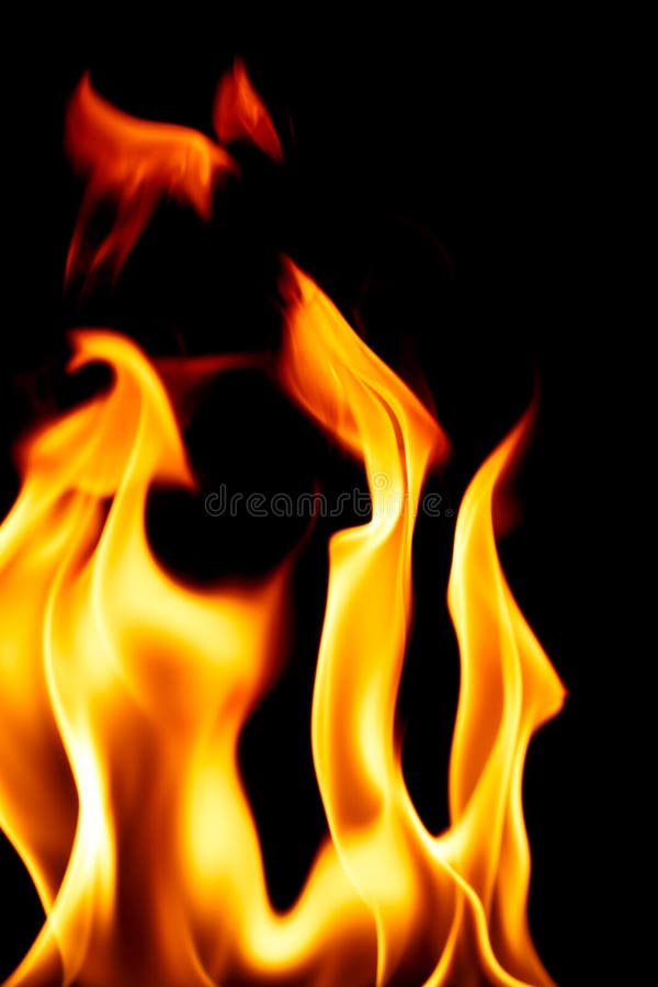 Real flame - fire. stock image. Image of flammable, yellow - 115865459
