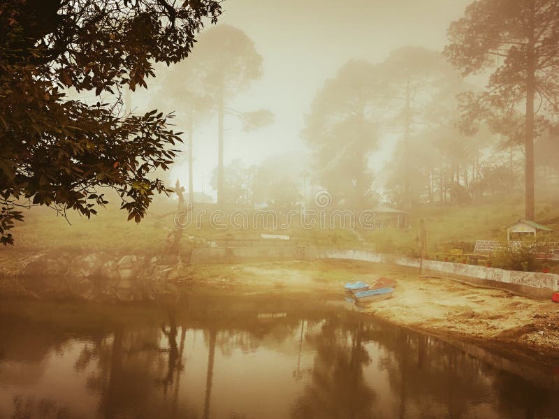 Real Reflection of Nature& X27;s Beauty Stock Photo - Image of ...