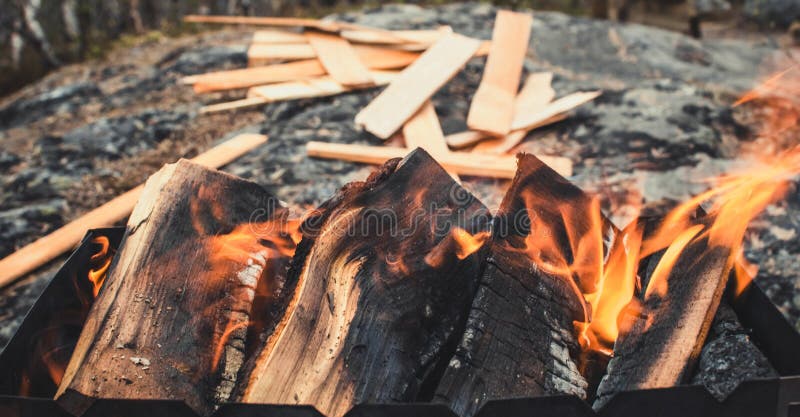 Calm fire stock photo. Image of expressive, gorgeous - 44063998