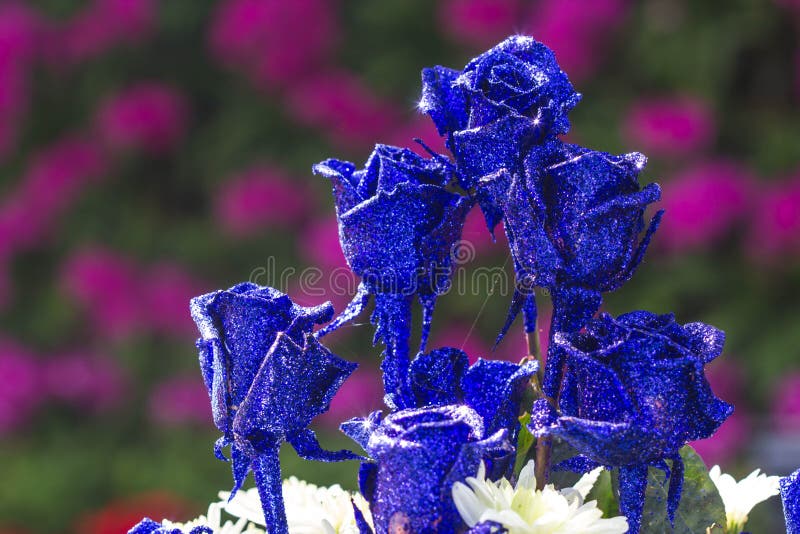 710 Leaf Plating Stock Photos - Free & Royalty-Free Stock Photos from ...