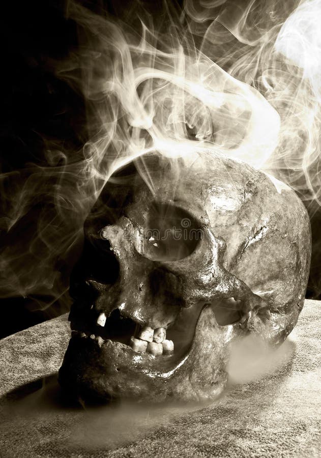 Real skull stock image. Image of fear, night, bone, dead - 79279371
