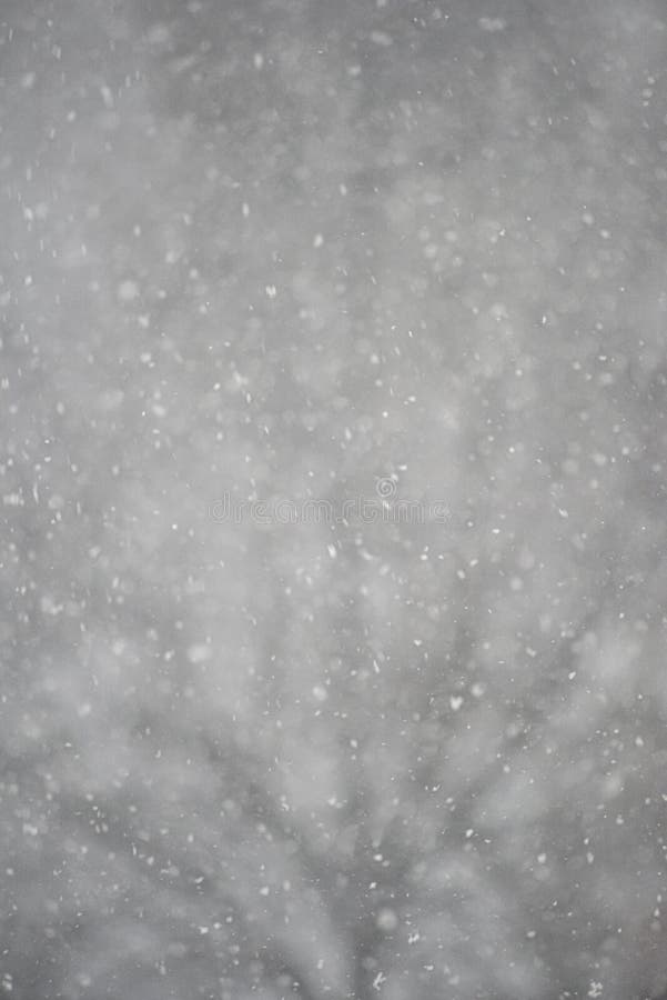 Real Snow Falling Background