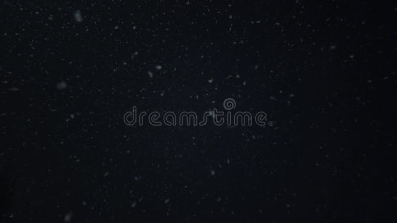 Real Snow Falling Down on Black Background Stock Video - Video of ...