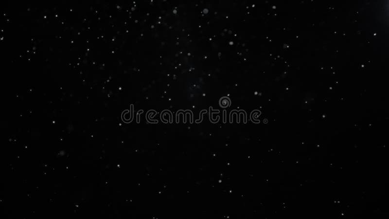 Real Snow Falling Slowly in Front of a Black Background Stock Video ...