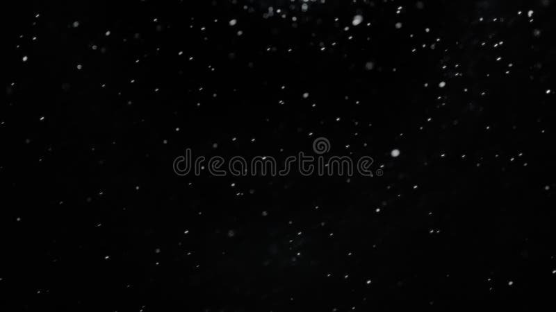 Real Snowfall in Front of a Black Background Falling To the Left Stock ...