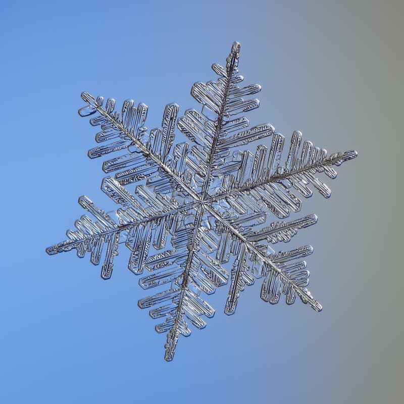 Real Snowflake Glittering on Smooth Gradient Background Stock Image ...