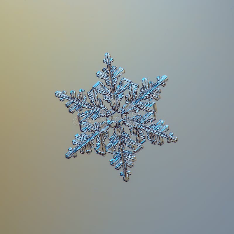 Real Snowflake Glittering on Smooth Gradient Background Stock Photo ...