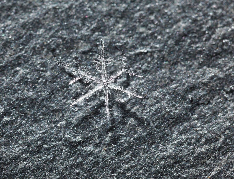 Real Snowflake on Grey Stone Surface Stock Photo - Image of crystal ...