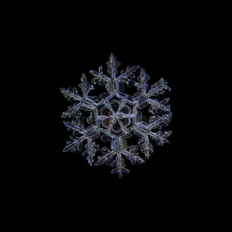 Real Snowflake Isolated on Black Background Stock Image - Image of ...
