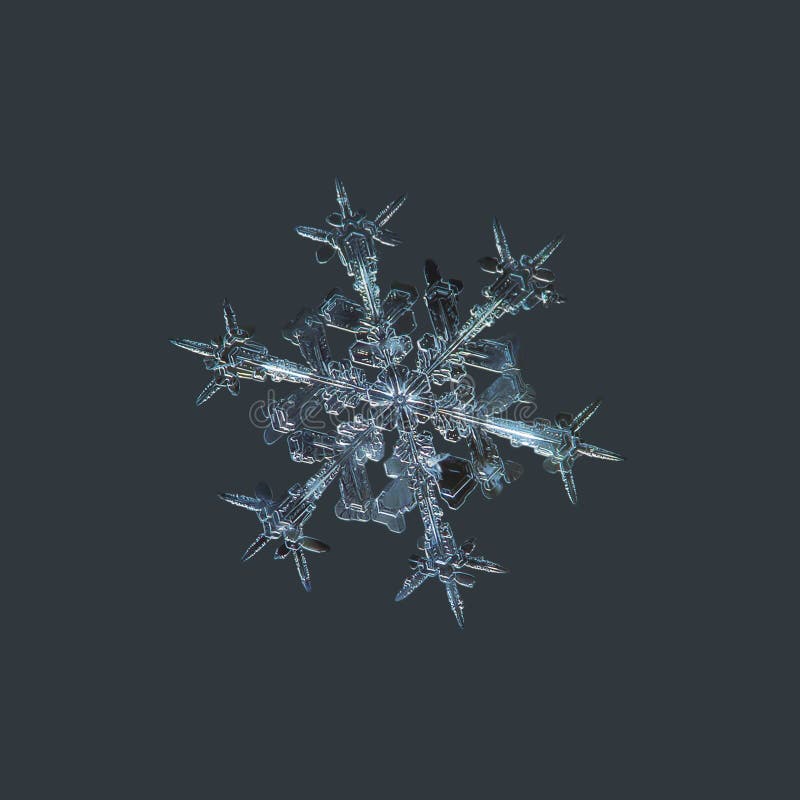 Real Snowflake Isolated on Uniform Cyan Background Stock Image - Image ...