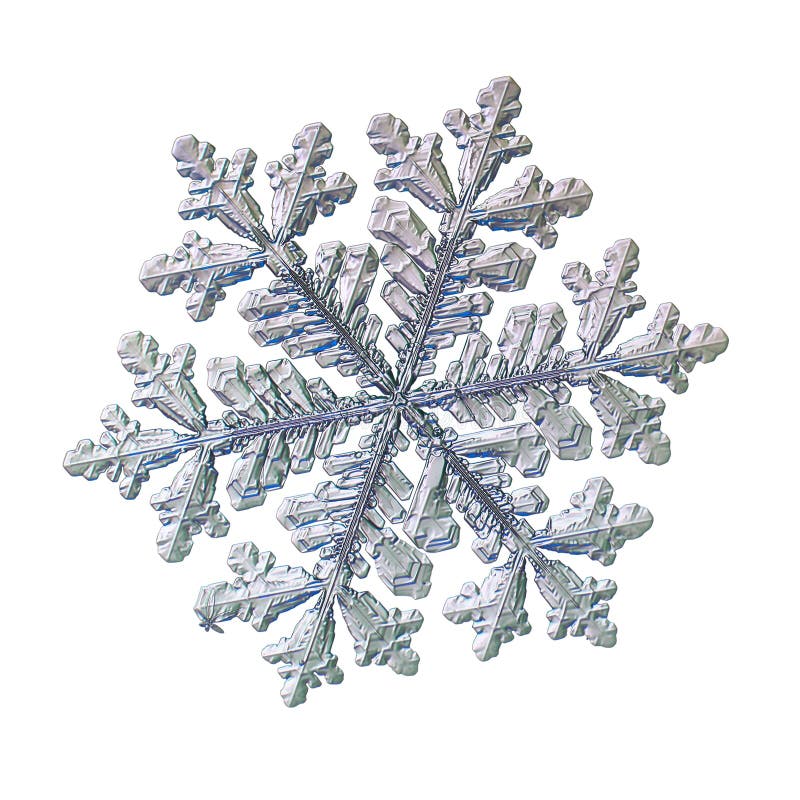 Real Snowflake Isolated on White Background Stock Image - Image of ...