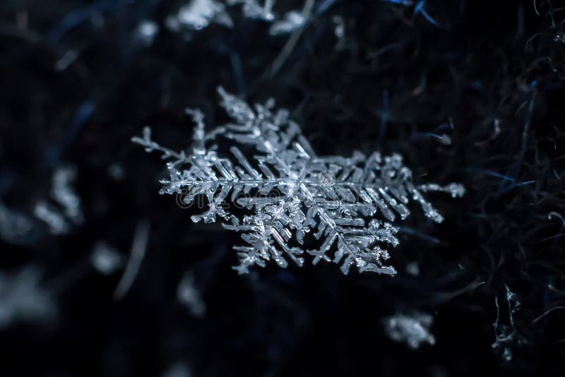 Snowflake Natural Macro Closeup Shot Stock Image - Image of crystal ...
