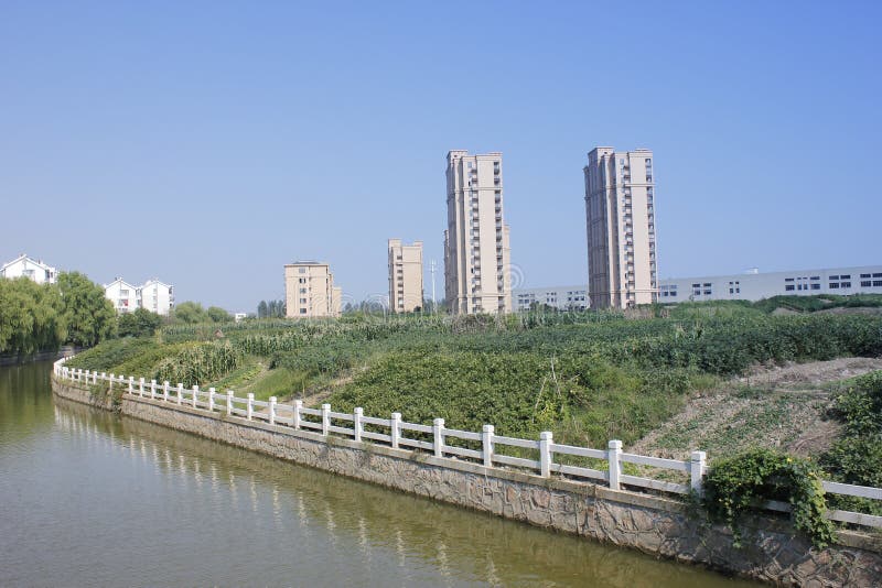 The Real State with High Buildings Standing Out from the Farm Editorial ...