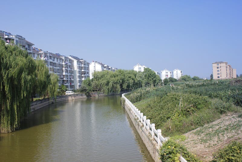 The Real State with High Buildings Standing Out from the Farm Editorial ...