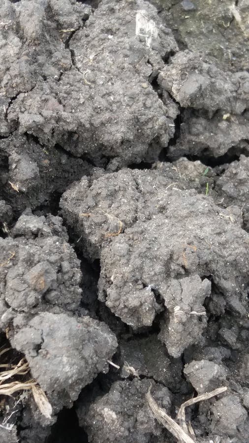 The Real Texture of the Soil Stock Photo - Image of real, landscape ...