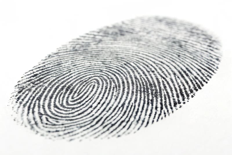 Real Thumb Fingerprint Pattern Isolated Stock Illustration ...