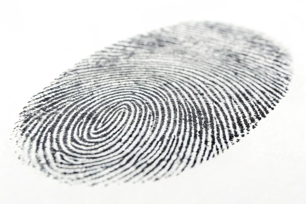 Real Thumb Fingerprint Pattern Isolated Stock Illustration ...