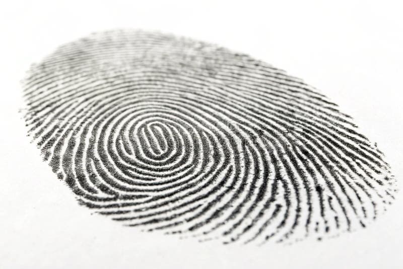 Real Thumb Fingerprint Pattern Isolated Stock Illustration ...